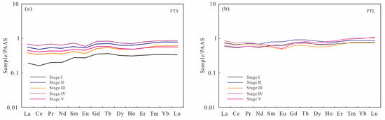 Minerals | Free Full-Text | Geological Significance of Rare Earth ...