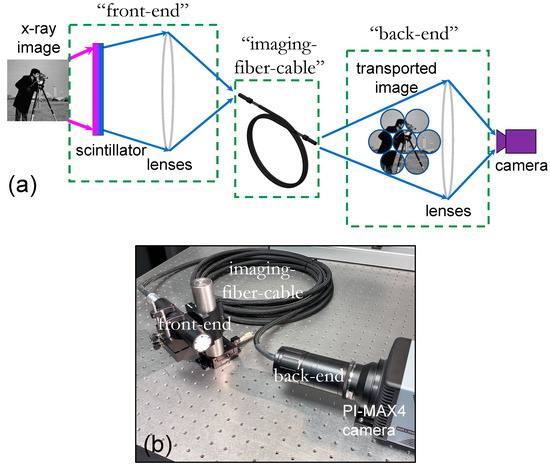 Exploring the High-Pressure Phases of Carbon through X-ray Diffraction of Dynamic Compression ...