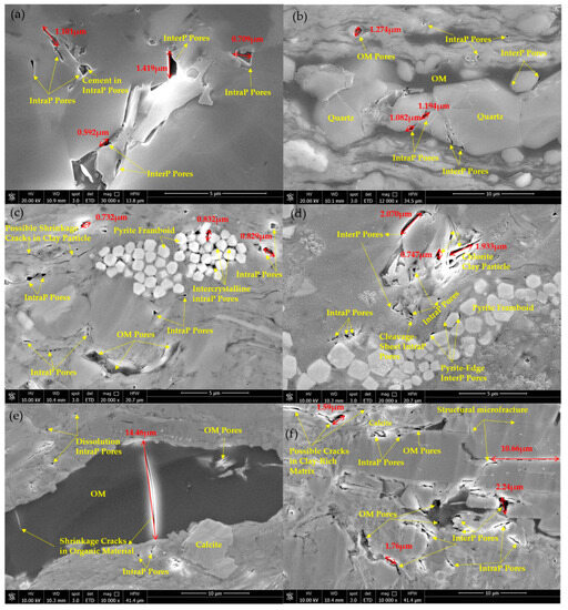 Pore Characteristics, Oil Contents and Factors Influencing Laminated ...