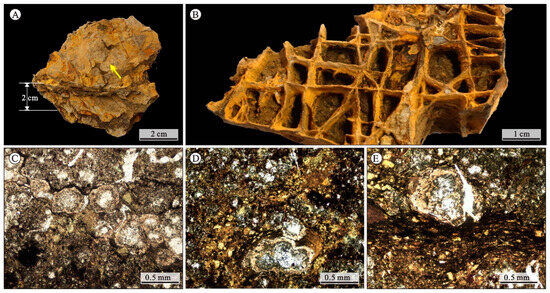 Types and Genesis of Siderite in the Coal-Bearing Beds of the Late ...