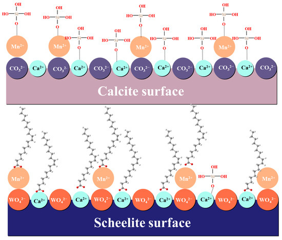 Research Progress with Scheelite Flotation Reagents: A Review