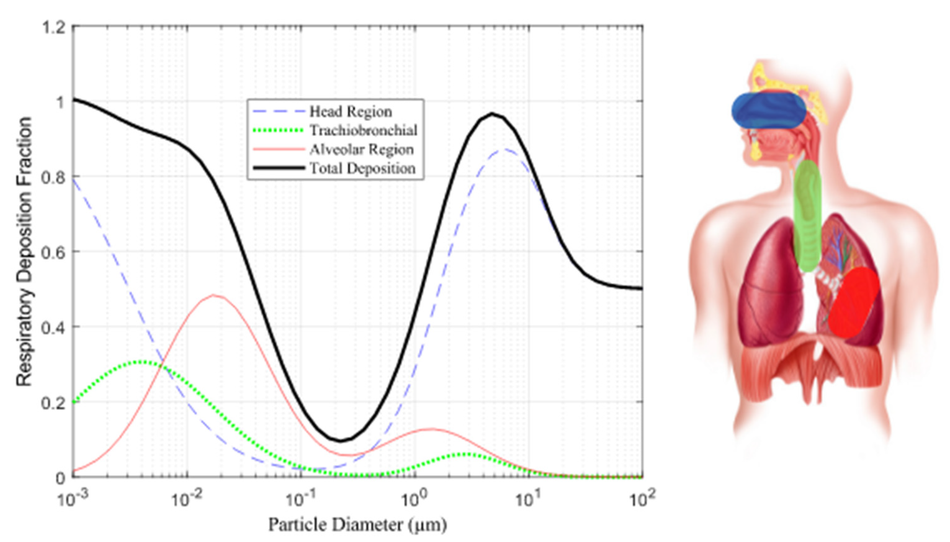 Minerals | Free Full-Text | From Dust to Disease: A Review of Respirable Coal Mine Dust Lung ...
