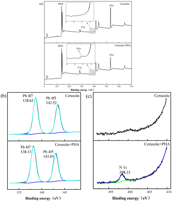 Flotation Performance and Adsorption Mechanism of Cerussite with ...