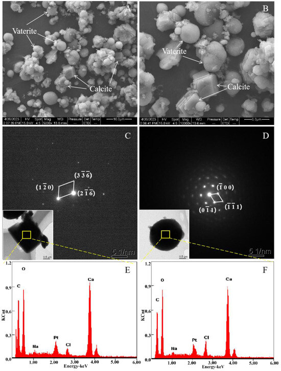 Minerals | Free Full-Text | Biomineralization and Characterization of ...