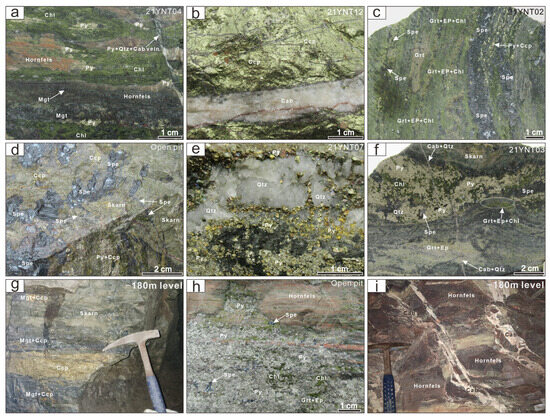 Genesis of the Yi’nan Tongjing Gold–Copper Skarn Deposit, Luxi District ...