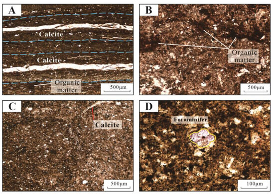 Lithofacies and Depositional Models of the Fine-Grained Sedimentary ...