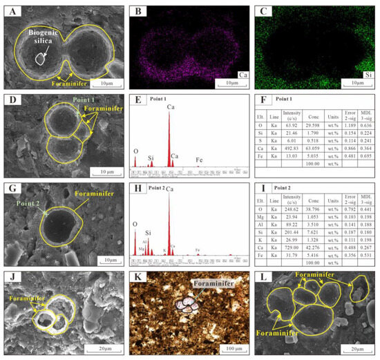 Lithofacies and Depositional Models of the Fine-Grained Sedimentary ...