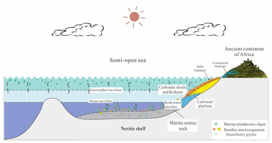 Lithofacies and Depositional Models of the Fine-Grained Sedimentary ...