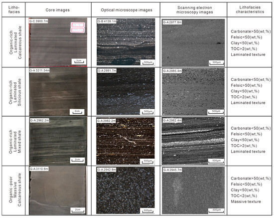 Lithofacies Characteristics and Sweet Spot Distribution of Lacustrine ...