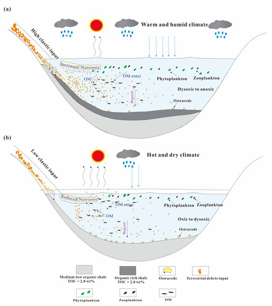Paleoenvironmental Characteristics of Lacustrine Shale and Its Impact ...