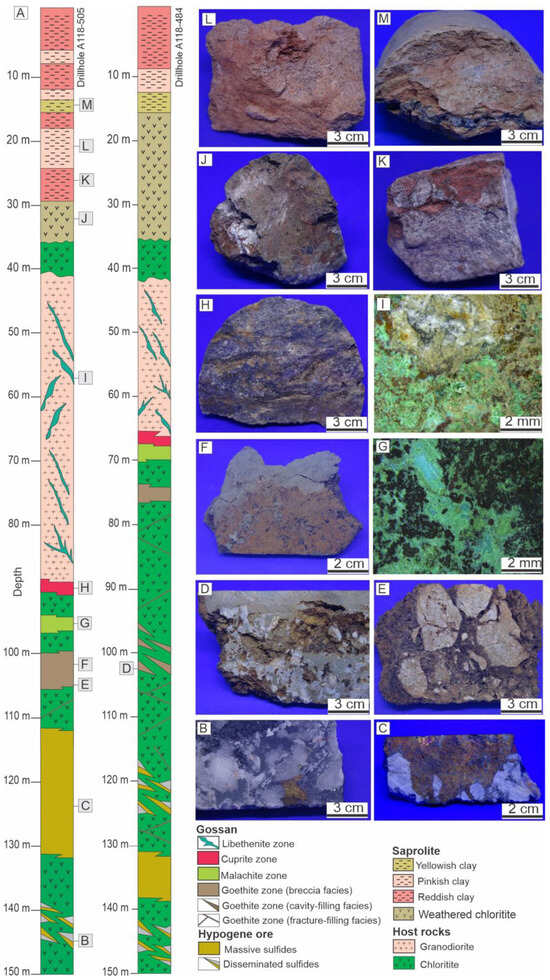 Geochemical and Isotopic Fractionation in the Hypogene Ore, Gossan, and ...