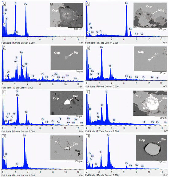 Geochemical and Isotopic Fractionation in the Hypogene Ore, Gossan, and ...