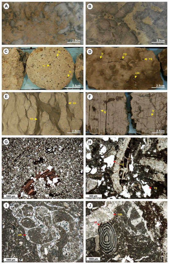 Pore-Type Characterization and Reservoir Zonation of the Sarvak ...