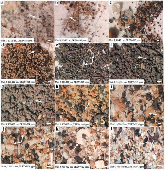 Grain Size Analyses and Mineral Compositions of Core Sediments in the ...