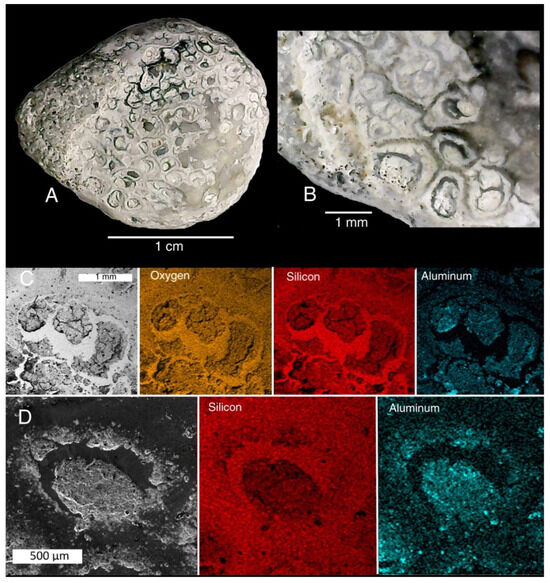 Minerals | Free Full-Text | Timing of Opalization at Lightning Ridge ...