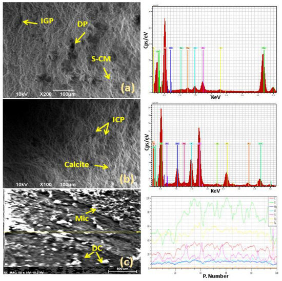 Unveiling the Diagenetic and Mineralogical Impact on the Carbonate ...
