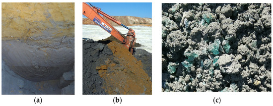Old Sulfidic Ore Tailing Dump: Ground Features, Mineralogy ...