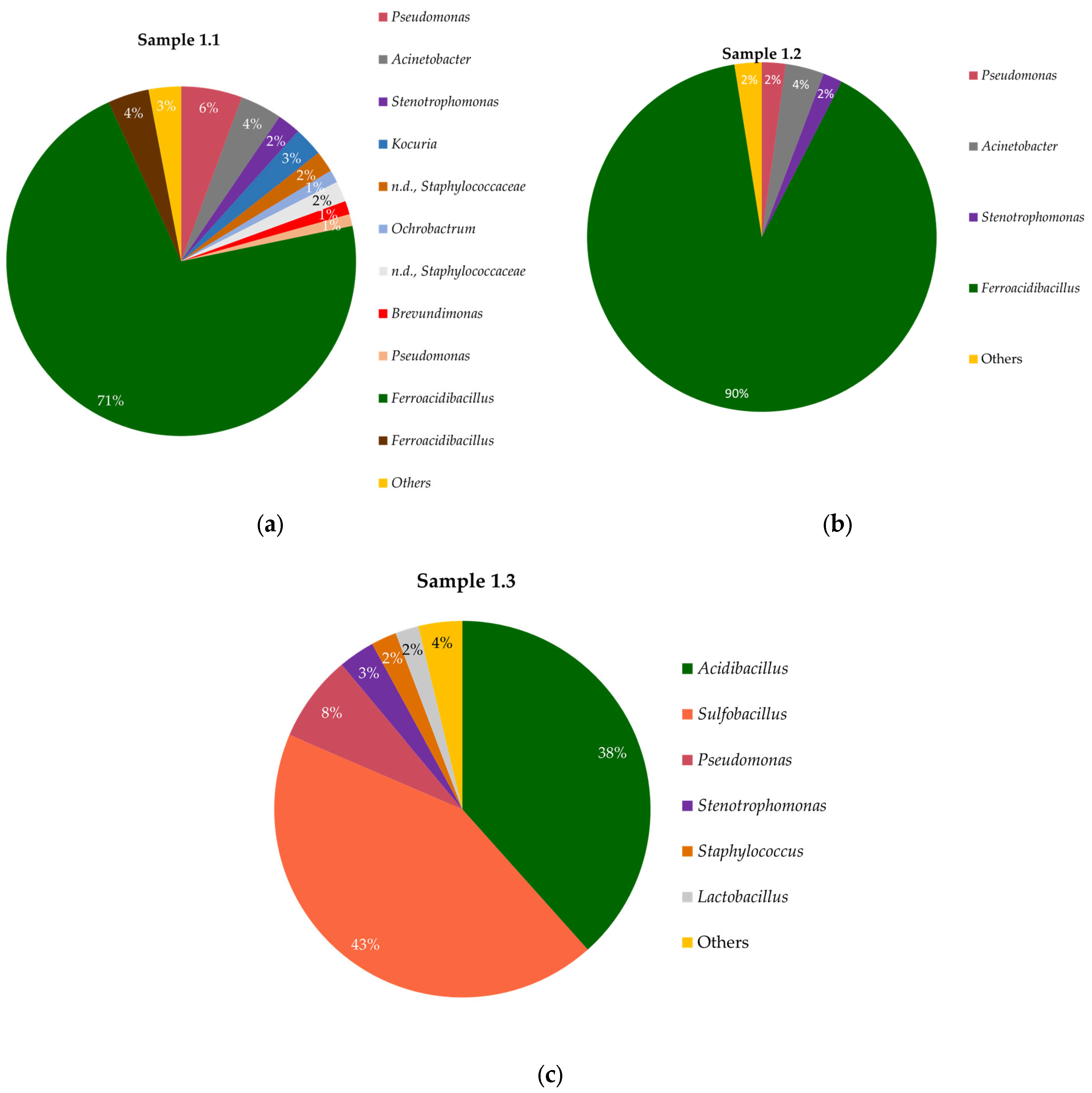Old Sulfidic Ore Tailing Dump: Ground Features, Mineralogy ...