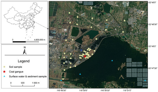 Analysis of the Source Apportionment and Pathways of Heavy Metals in ...