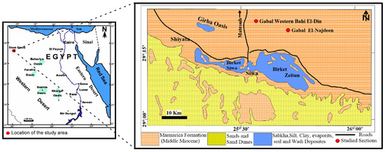 The Middle Miocene Microfacies, Cyclicity, and Depositional History ...