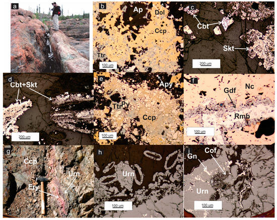 Hydrothermal Mineralization and Mineral Chemistry of Arsenides and ...
