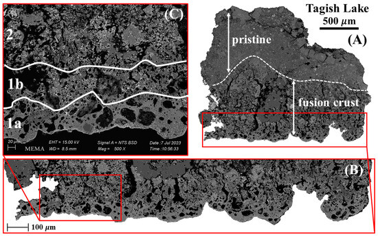 Textural Study of Vesicles in Tagish Lake (C2-ung) Meteorite Fusion ...