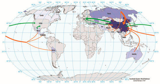 Antimony’s Significance as a Critical Metal: The Global Perspective and ...