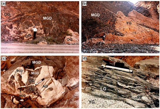 Continental Arc Plutonism in a Juvenile Crust: The Neoproterozoic ...