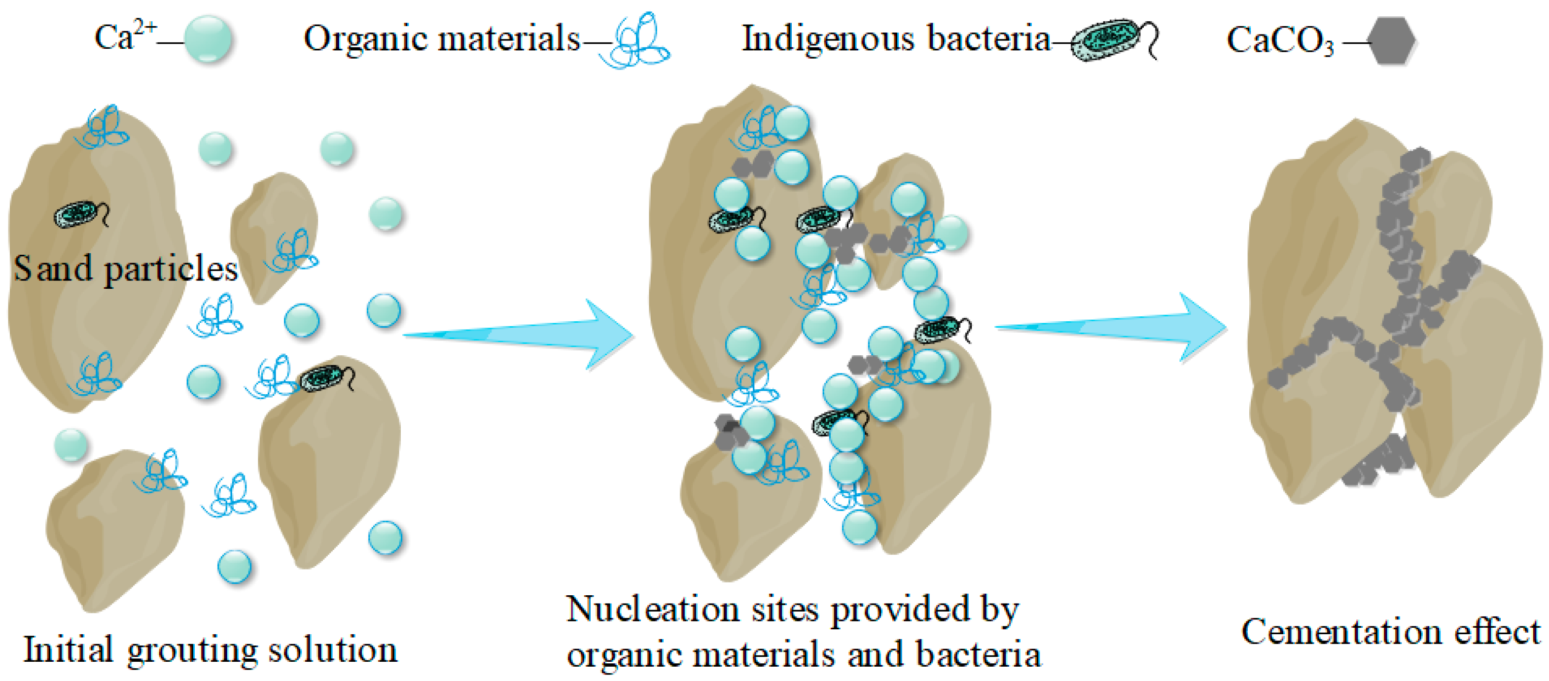 Experimental Investigation on the Combination of Enzyme-Induced Calcium ...