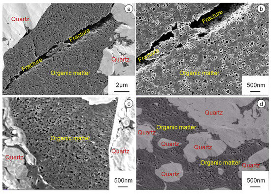 Thermal Maturity Constraint Effect and Development Model of Shale Pore ...