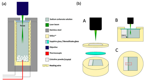 Minerals | Free Full-Text | The Replacement of Celestine (SrSO4) by ...