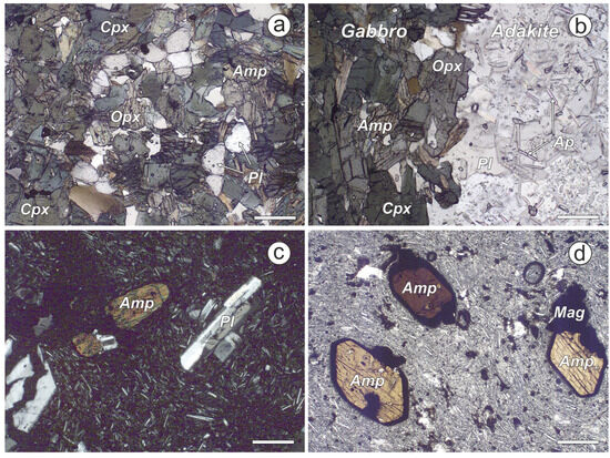 Iron–Titanium Oxide–Apatite–Sulfide–Sulfate Microinclusions in Gabbro ...