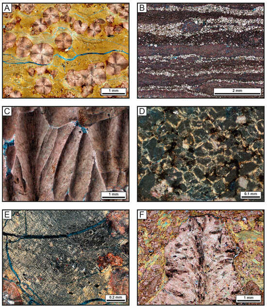 Interactions between Clays and Carbonates in the Aptian Pre-Salt ...