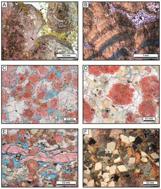 Interactions between Clays and Carbonates in the Aptian Pre-Salt ...