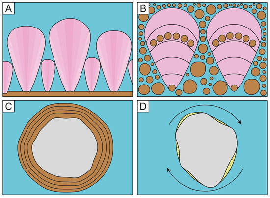 Interactions between Clays and Carbonates in the Aptian Pre-Salt ...