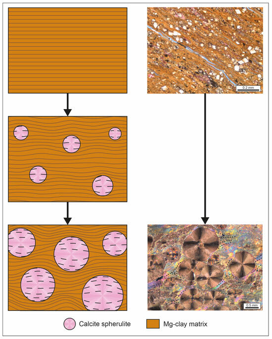 Interactions between Clays and Carbonates in the Aptian Pre-Salt ...