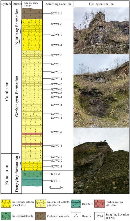 Microdistribution and Mode of Rare Earth Element Occurrence in the Zhijin Rare Earth Element ...