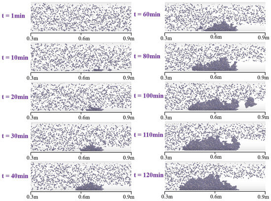 Numerical Study of Gangue Slurry Deposition Behavior in Pipelines ...