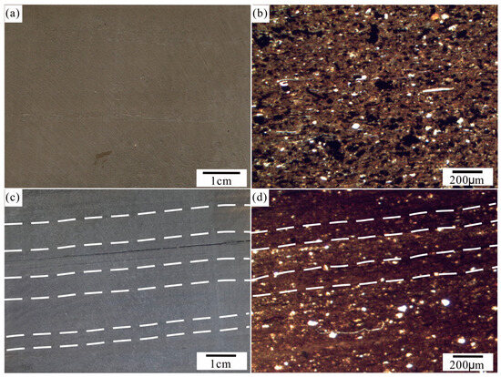 Minerals | Free Full-Text | Data-Driven Classification and Logging Prediction of Mudrock ...