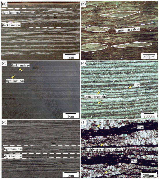 Data-Driven Classification and Logging Prediction of Mudrock Lithofacies Using Machine Learning ...