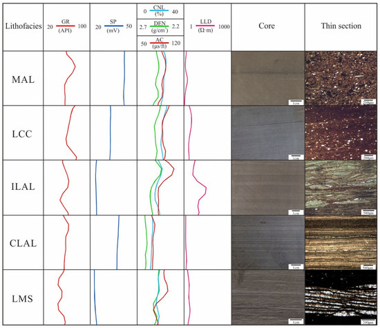 Minerals | Free Full-Text | Data-Driven Classification and Logging Prediction of Mudrock ...