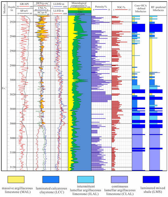 Minerals | Free Full-Text | Data-Driven Classification and Logging Prediction of Mudrock ...