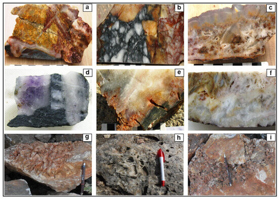 Minerals | Free Full-Text | Petrography and Geochemistry of ...