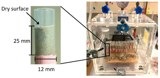 Reduction in Apparent Permeability Owing to Surface Precipitation of ...