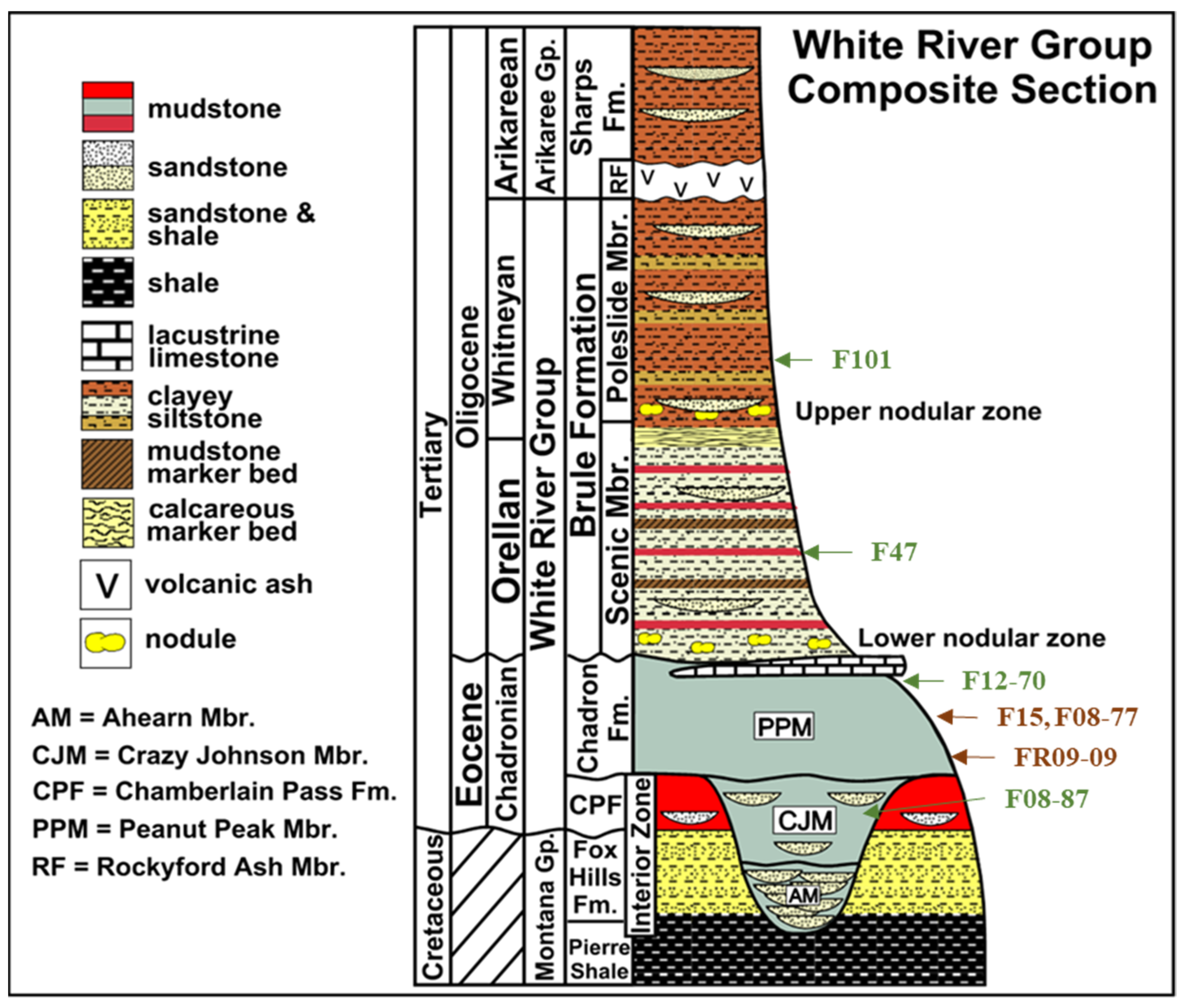 Controls on Soft Tissue and Cellular Preservation in Late Eocene and Oligocene Vertebrate ...