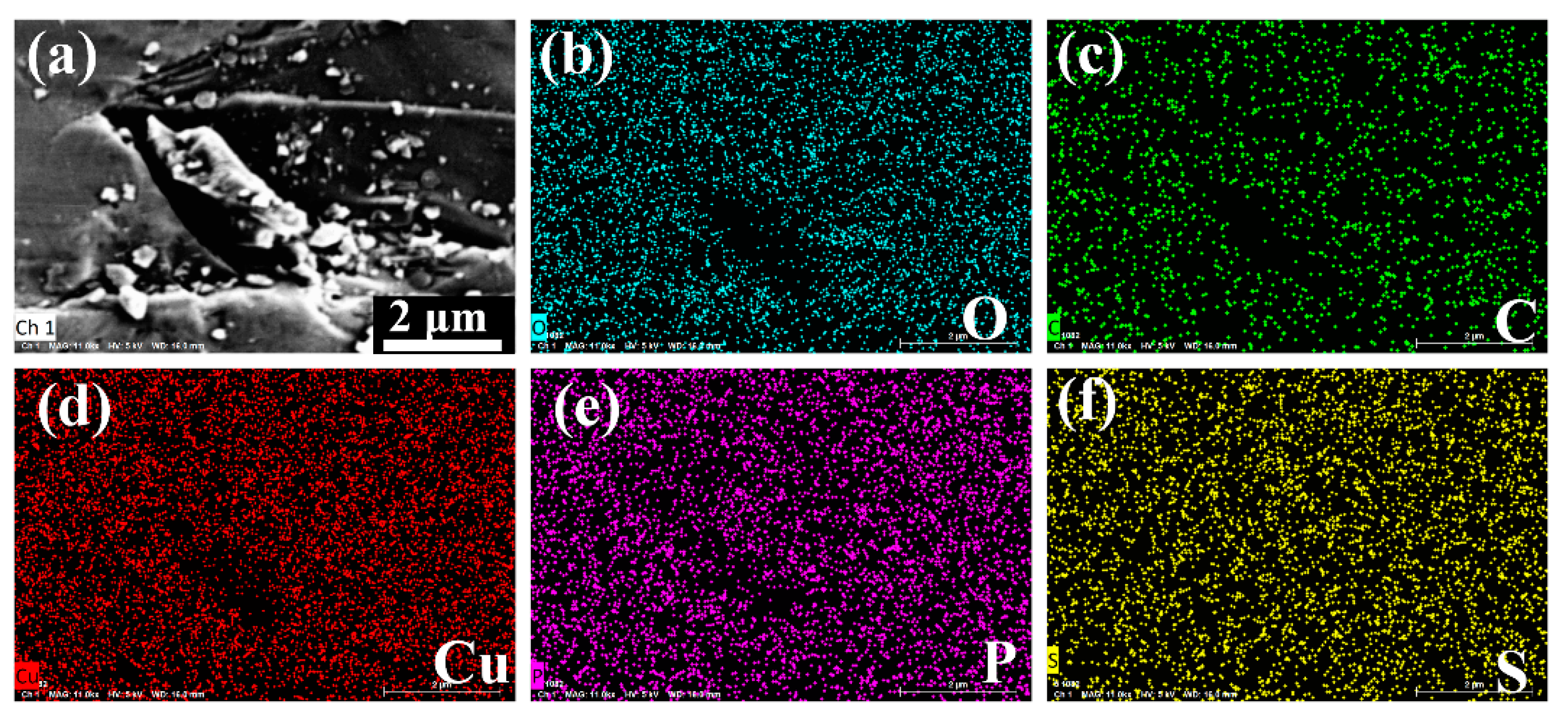 Synthesis Of S Allyl O O′ Dibutyl Phosphorodithioate And Its