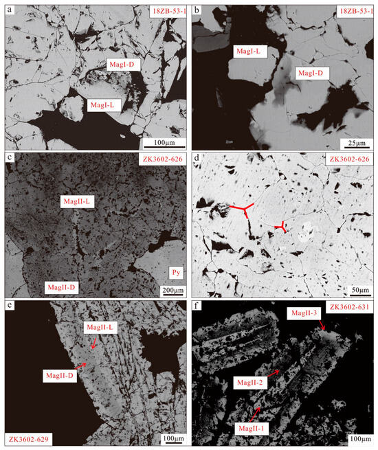 Minerals | Free Full-Text | Textures and Chemical Compositions of ...