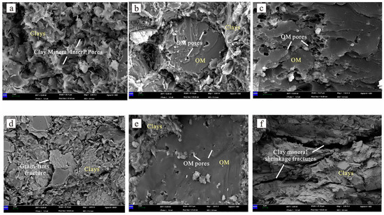 Pore Structure and Heterogeneity Characteristics of Coal-Bearing Marine ...