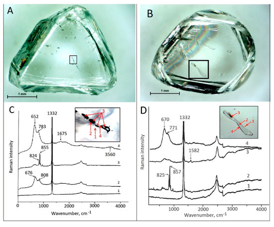 Shape Change of Mineral Inclusions in Diamond—The Result of Diffusion ...