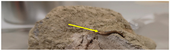 Characterization of Limestone Surface Impurities and Resulting ...